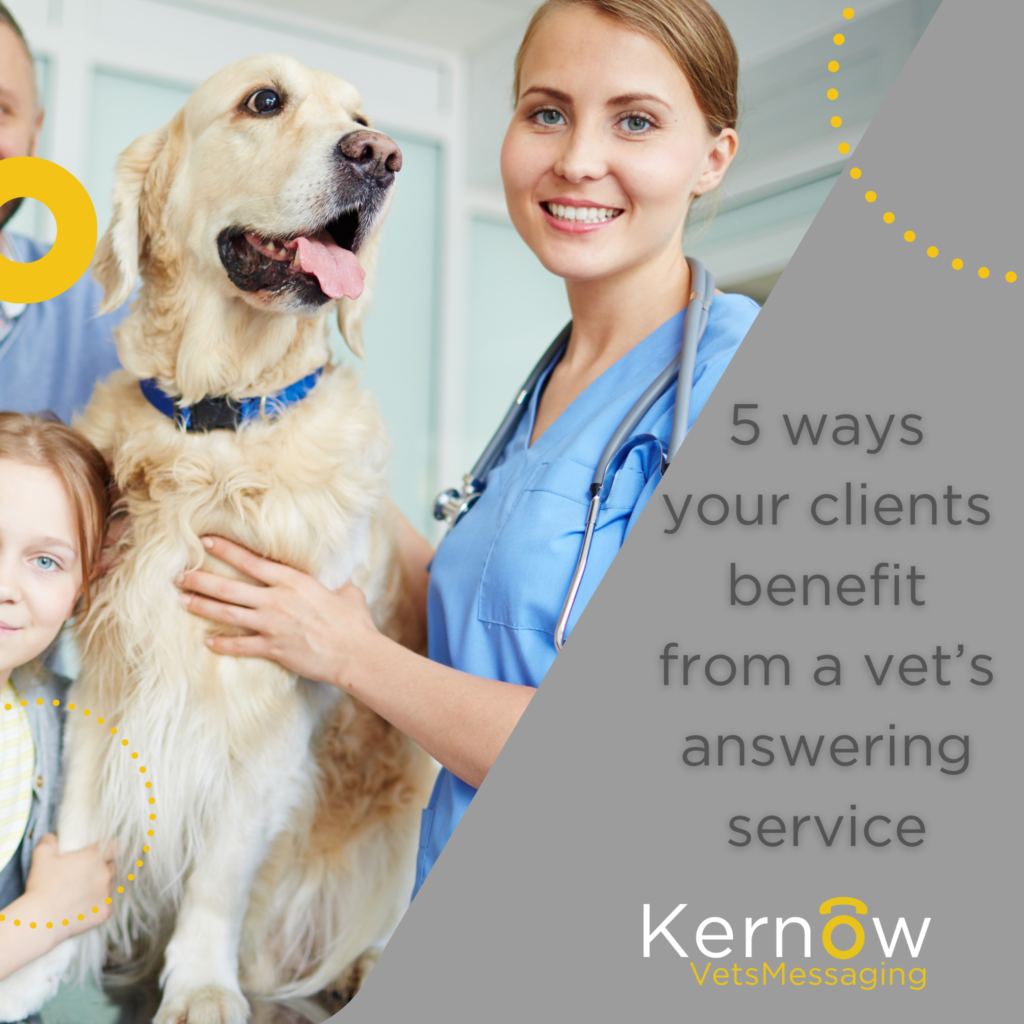 Five ways your clients benefit from a vet’s answering service - Kernow ...