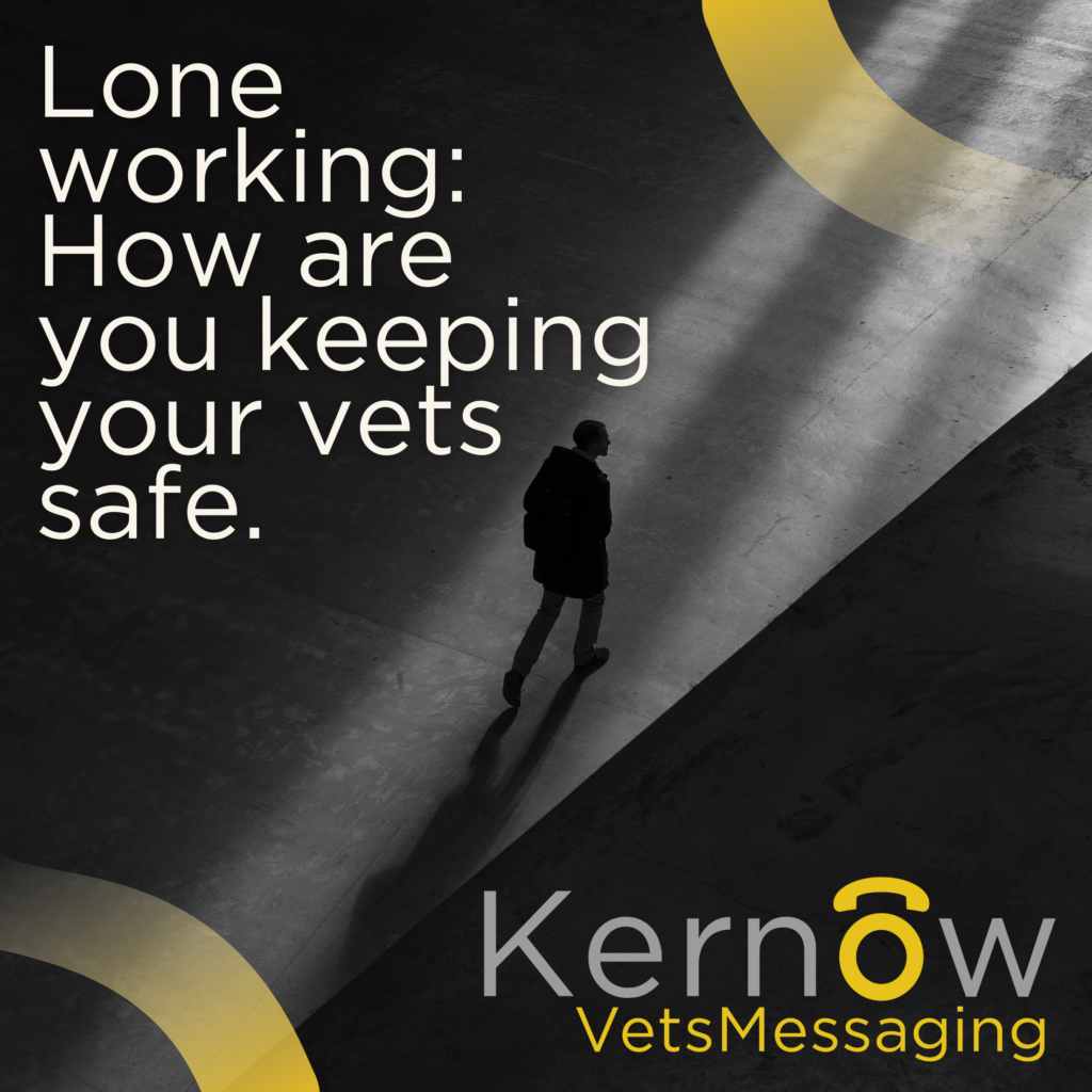 How can we support your lone workers and ensure you have a safe lone ...
