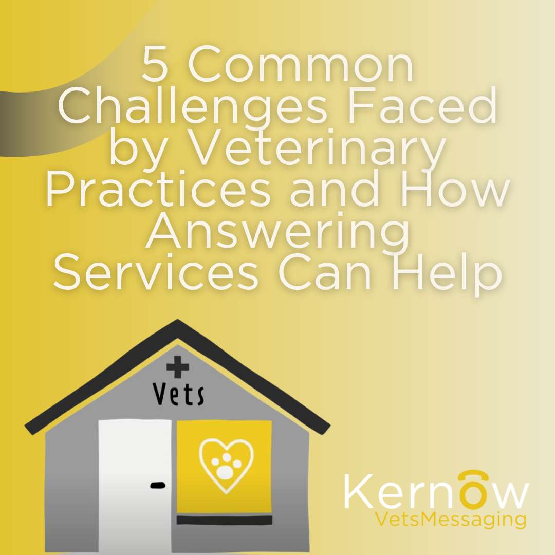 5 Common Challenges Faced by Veterinary Practices and How Answering ...
