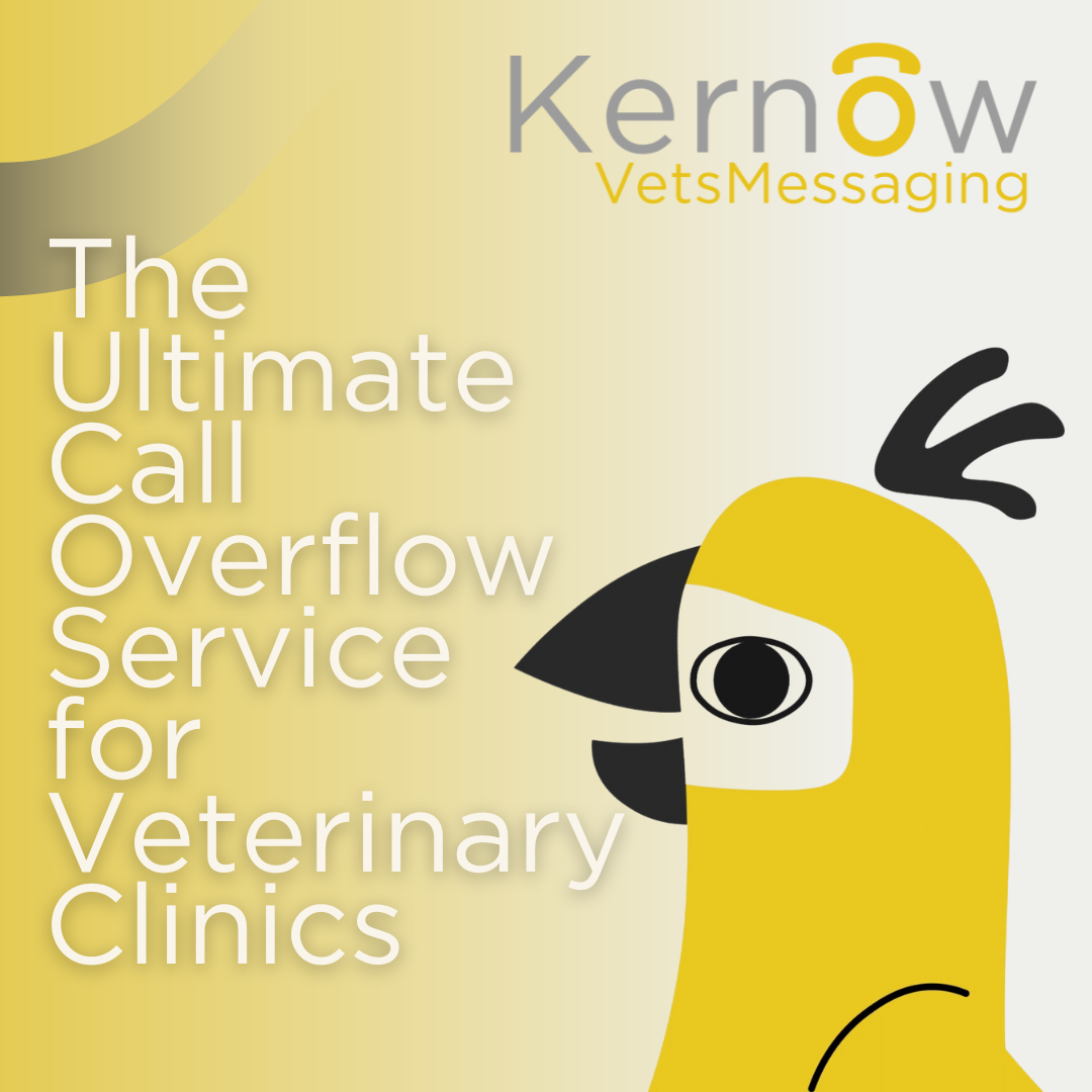 The Ultimate Call Overflow Service for Veterinary Clinics - Kernow Vets ...